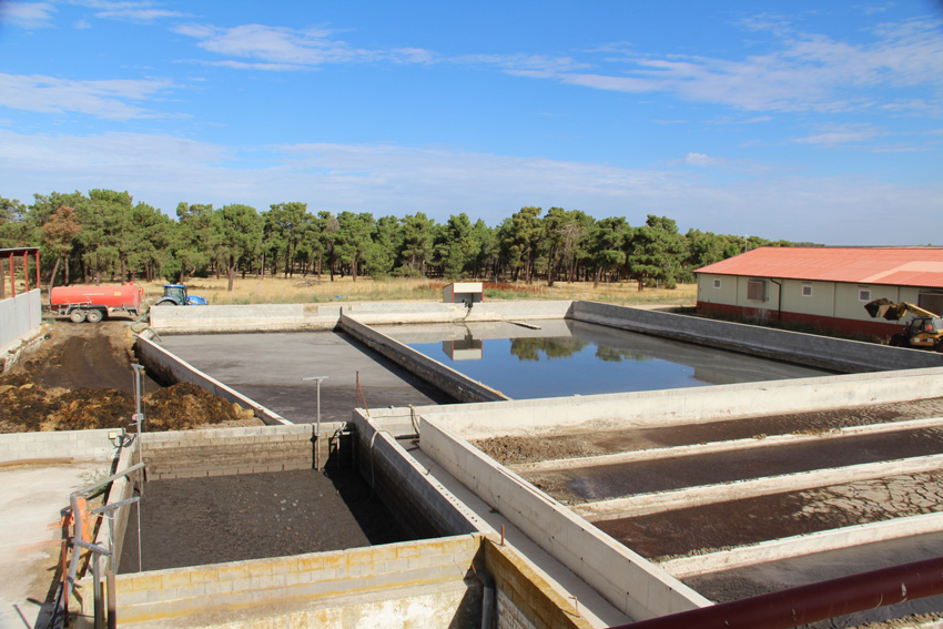 El purín, de enemigo a aliado | Acueducto2